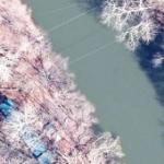 Sycamore Island Canoe Club in Bethesda, MD - Virtual Globetrotting