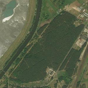 Crooked Forest in Nowe Czarnowo, Poland - Virtual Globetrotting