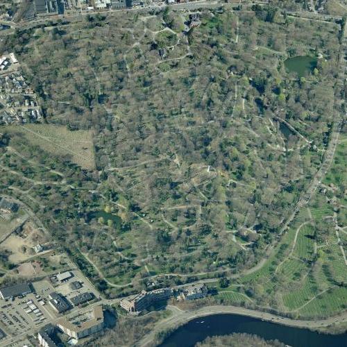 Mount Auburn Cemetery in Cambridge, MA (Google Maps)