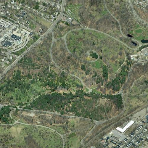 'Arnold Arboretum' by Frederick Law Olmsted in Boston, MA (Google Maps)
