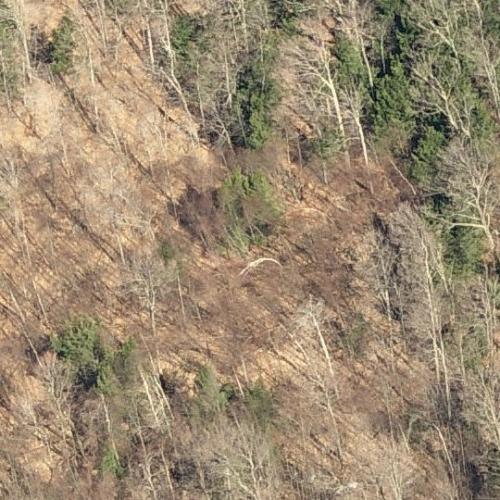Mohawk Airlines Flight 411 crash site in Bolton Landing, NY (Google Maps)