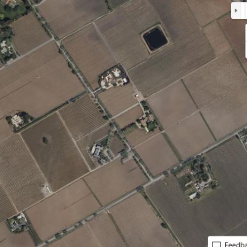 Carson Levit and Suzanne Devitt Levit's Vineyard in Rutherford, CA ...