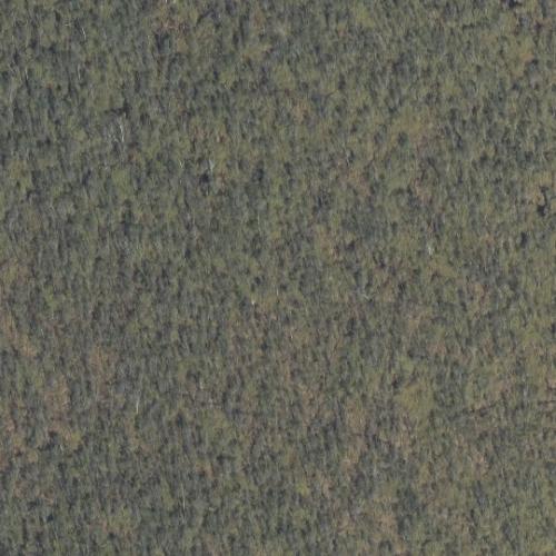 Sam Acre Island in Satsuma, AL - Virtual Globetrotting