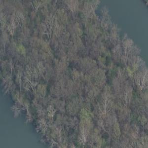 Clinton Island in Clinton, TN - Virtual Globetrotting