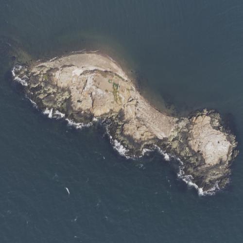 Bluff Island (aka Captain Knapp Island) in Greenwich, CT (Google Maps)