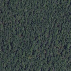 Maple Island in Chesilhurst, NJ - Virtual Globetrotting