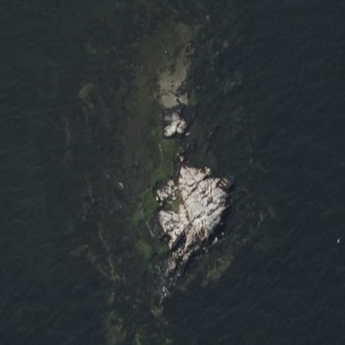 Seal Island (aka Seal Rock) in Bristol, RI (Google Maps)
