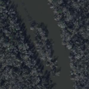 Buzzard Roost Island in Baconton, GA - Virtual Globetrotting
