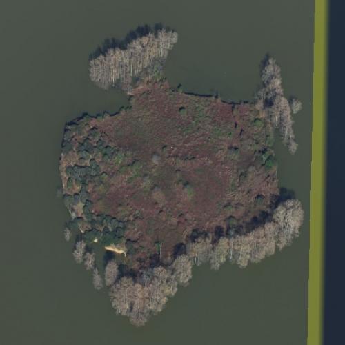 Buzzard Island in Shreveport, LA (#2) - Virtual Globetrotting