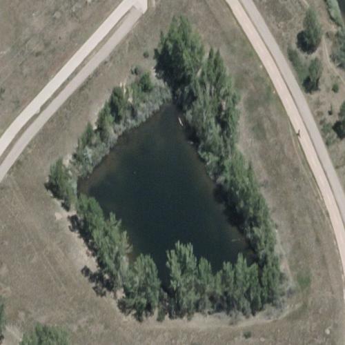 Ladybug Lake in Columbine, CO (Google Maps)