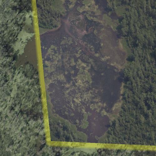 Charlo Lake in Lafayette, LA (Google Maps)