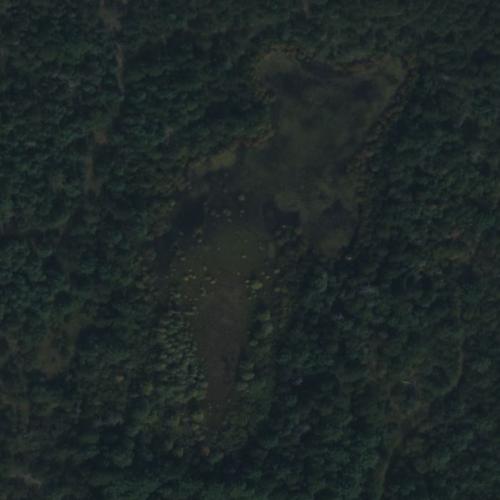 Lost Lake in Sand Lake, MI (Google Maps) (#8)