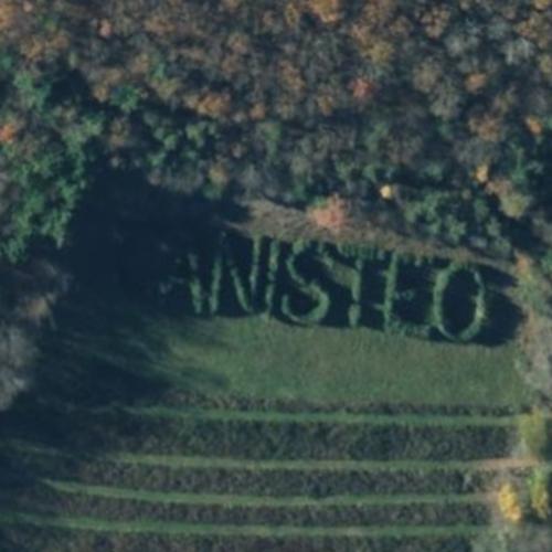 World's Largest Living Sign in Canisteo, NY - Virtual Globetrotting
