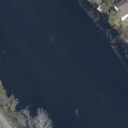 Hoadley Pond in Seymour, CT (Google Maps)