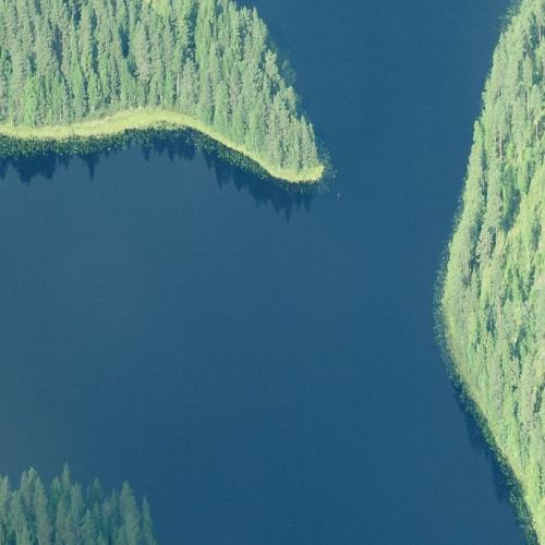 Vääräjärvi in Jyväskylä, Finland (Google Maps)