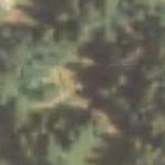 John Popper's House in Snohomish, WA - Virtual Globetrotting